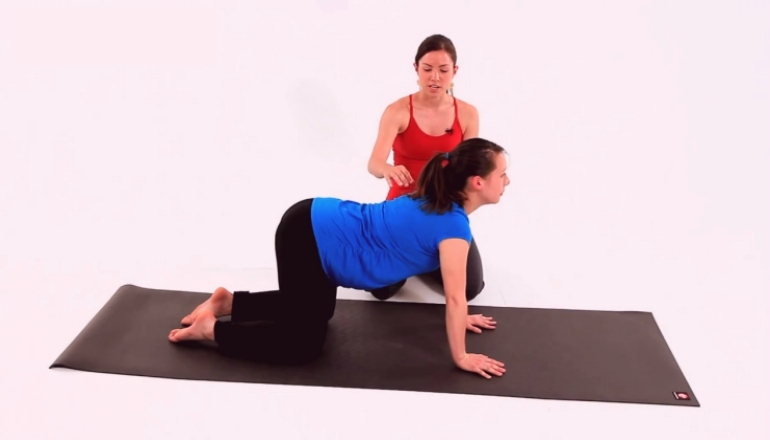 Prenatal Yoga: Cow Cat Stretch Pose | Pregnant Life