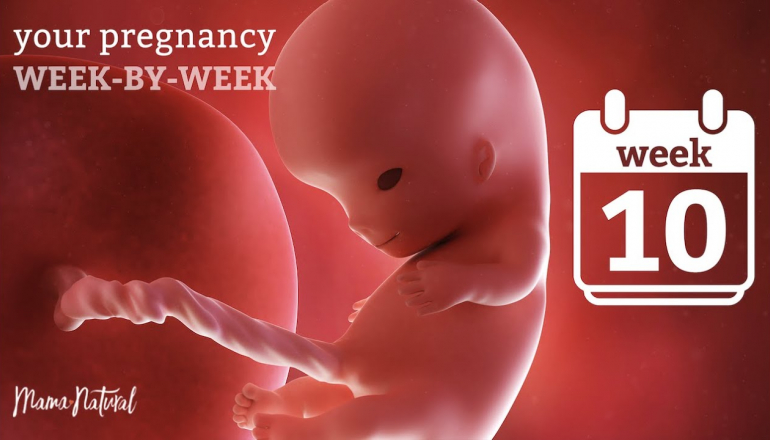 10 Weeks Pregnant | Pregnant Life