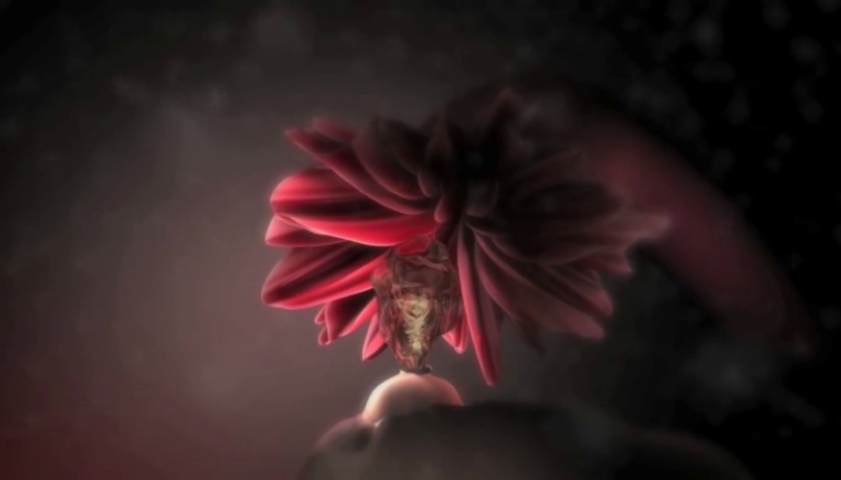 The Miracle of Life: Natural Conception | Pregnant Life